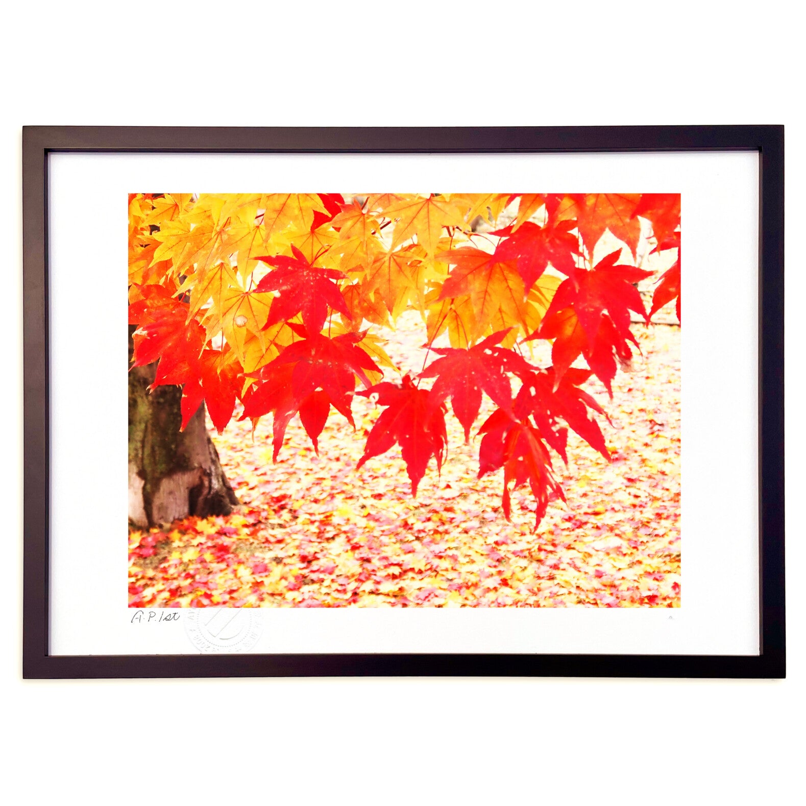 彩りの対話 — Dialogue of Colors（紅葉の光） – 絵画や壁飾り販売｜風景投稿販売あゆわら(R)